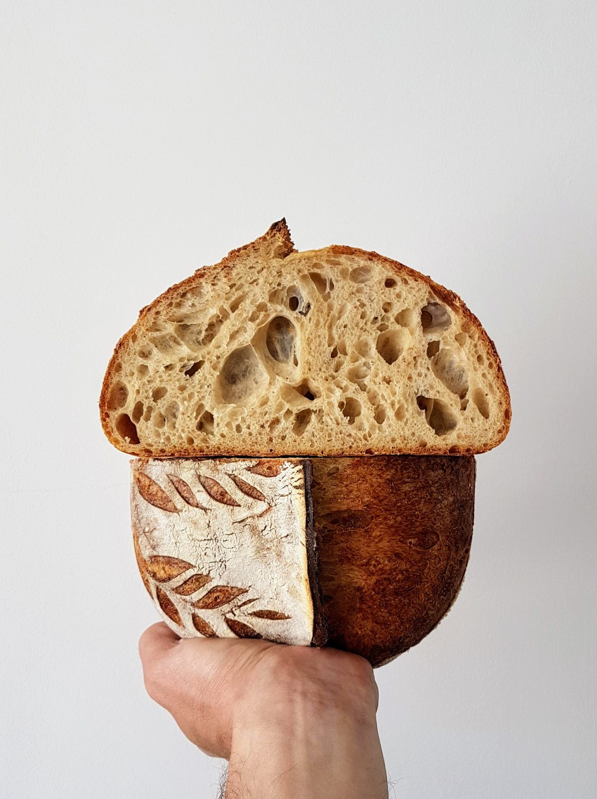 Bread on the Rise | Chanintr Living Journal